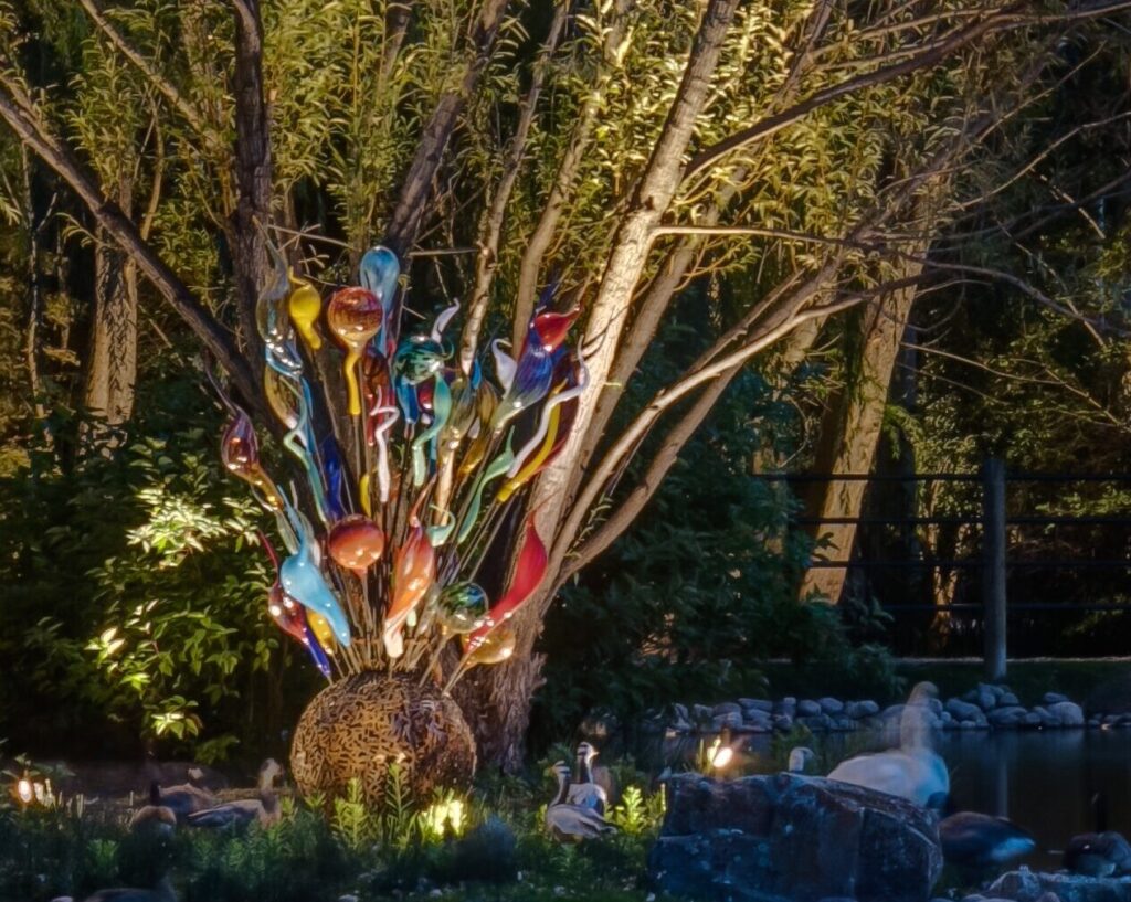 Fall foliage comes alive with landscape lighting | Landscape Lighting Pro